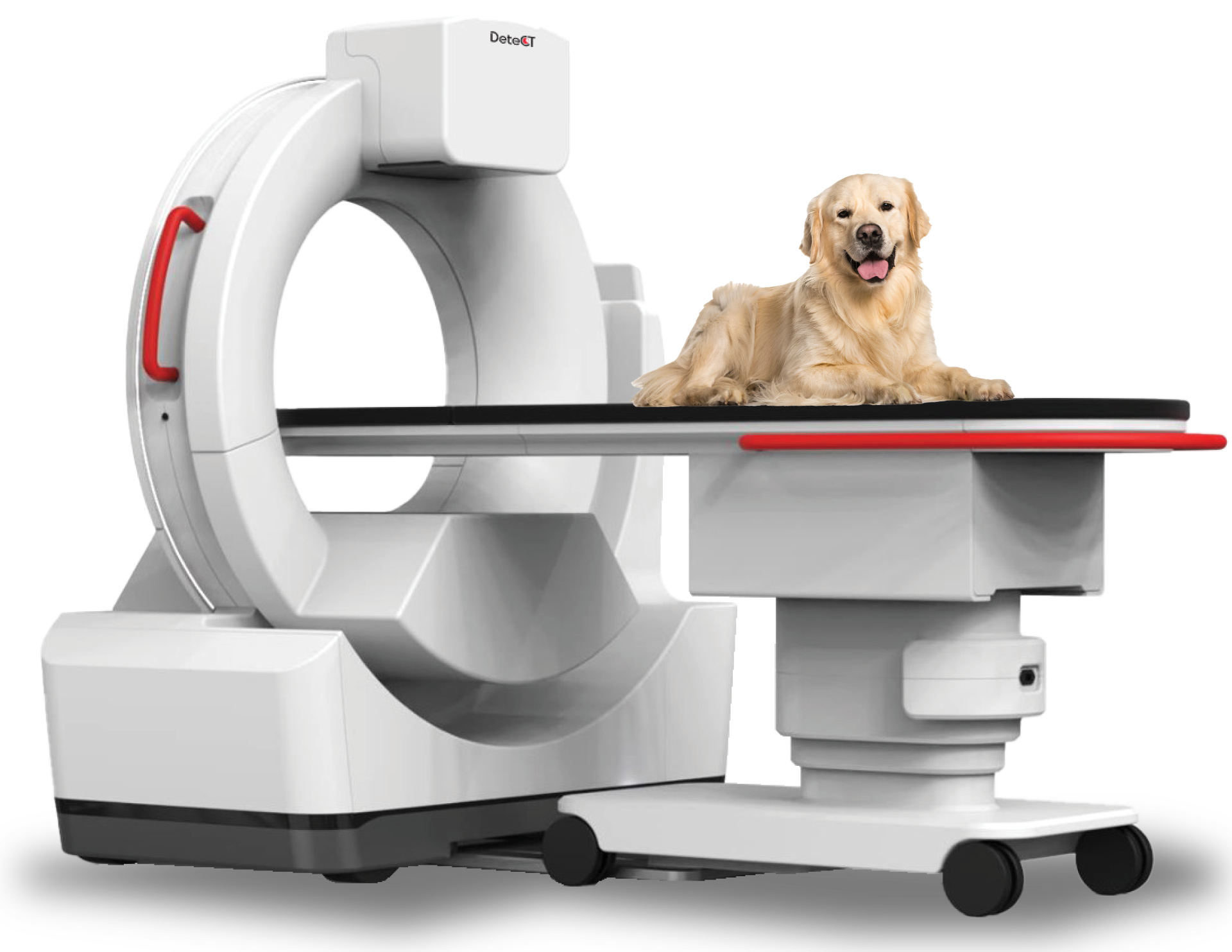 Homepage - JPI Animal Health