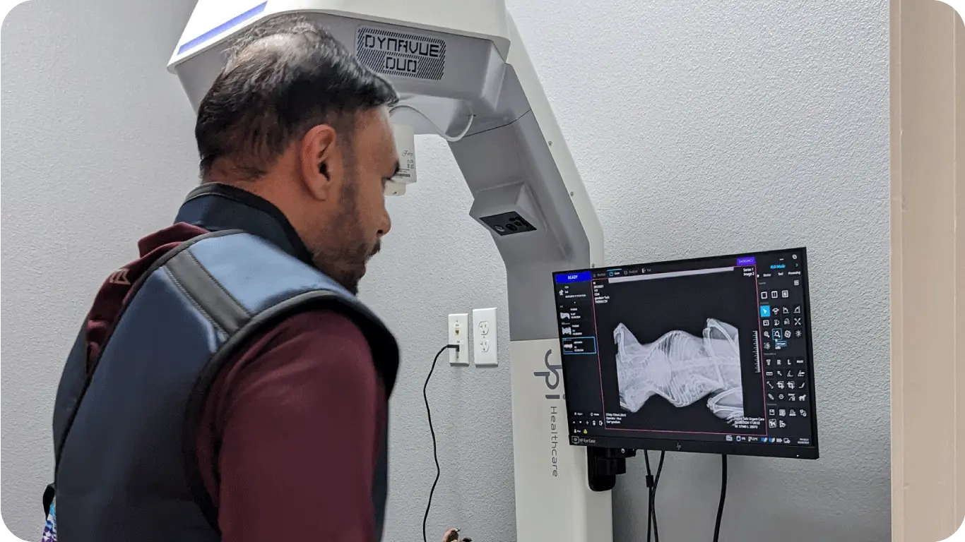 Fluoroscopy for Real-Time Diagnostics: Precision Without Surgery - JPI ...