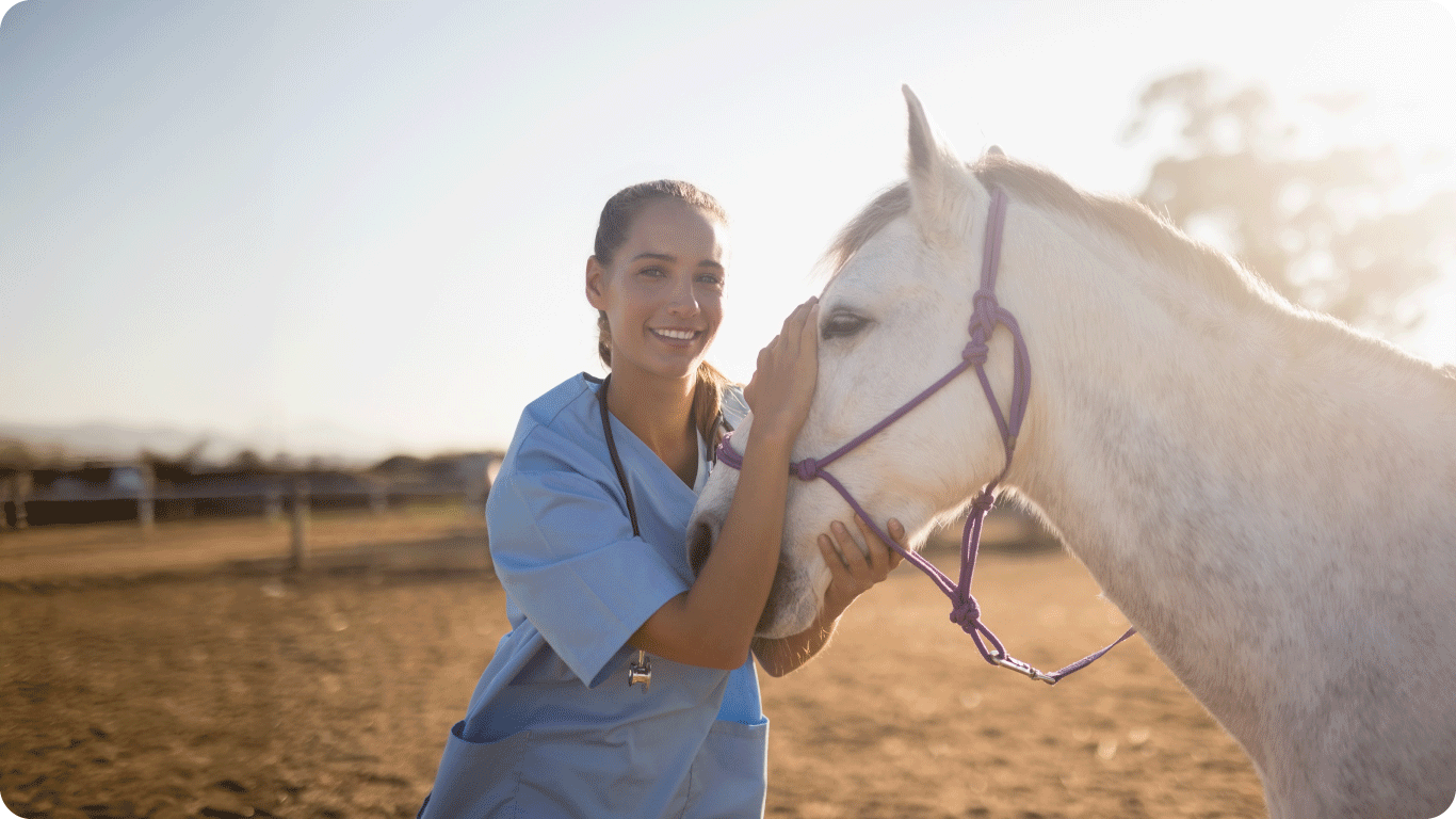 How to Choose the Right Equine X-Ray System - JPI Animal Health